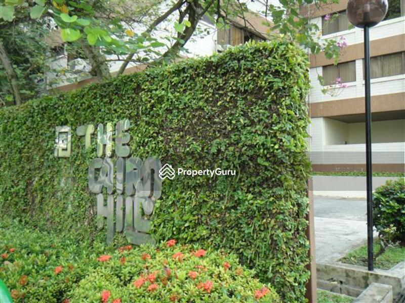 The Cairnhill Condo Details in Orchard / River Valley | PropertyGuru ...
